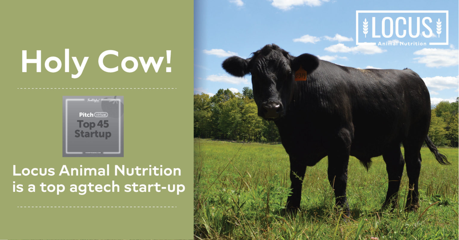 Rabobank Names Locus Animal Nutrition A Top Startup for Methane ...
